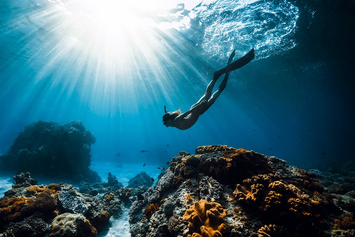 Master Deep Freediving: Essential Techniques, Training & Tips