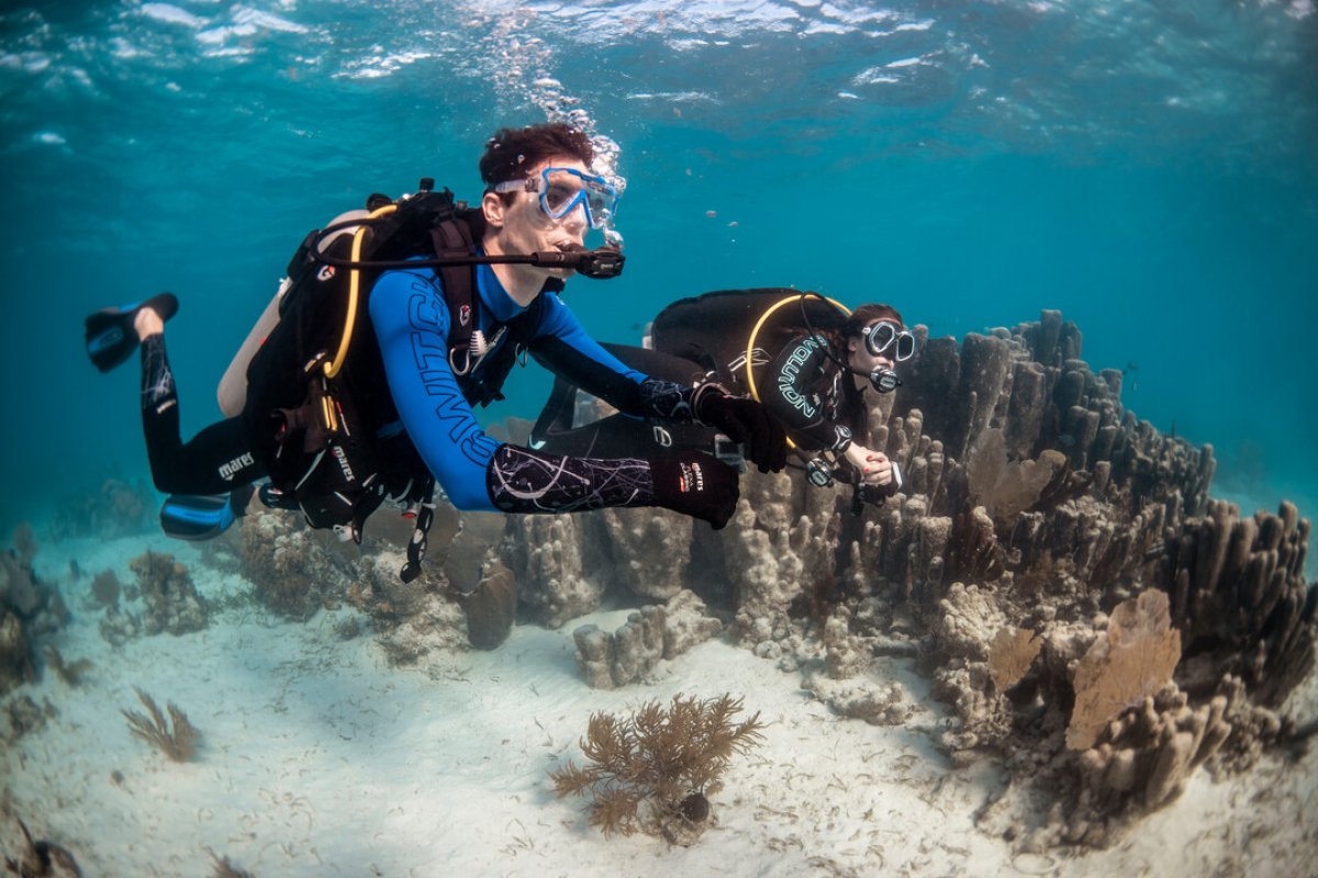 From Enthusiast to Dive Professional: Your Path to Expertise