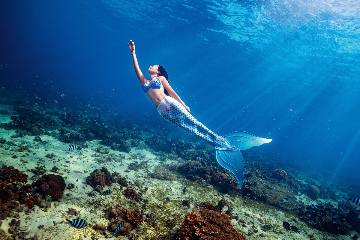 7 Reasons to Enroll in an SSI Mermaid Course