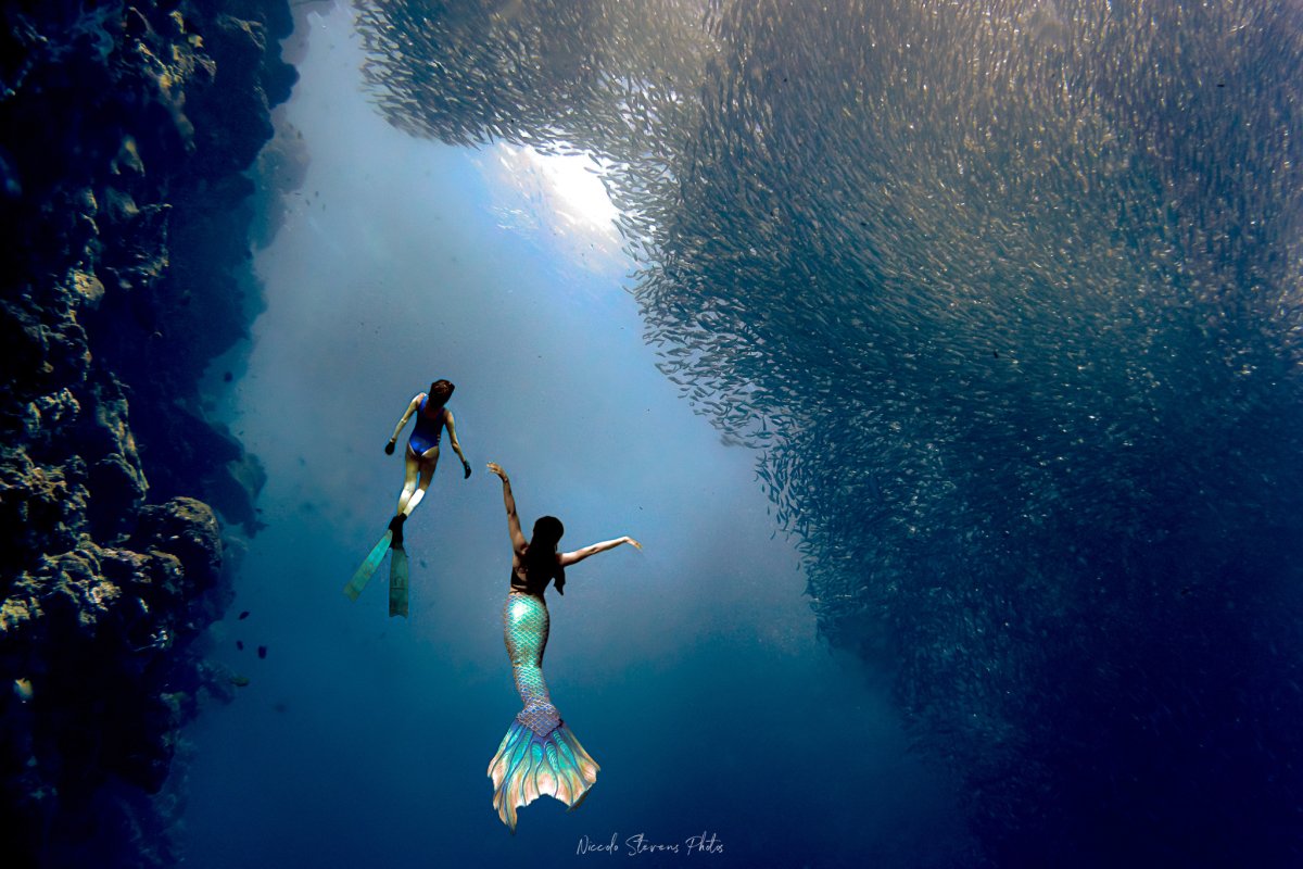 10 Exceptional Destinations for Mermaid Swimming