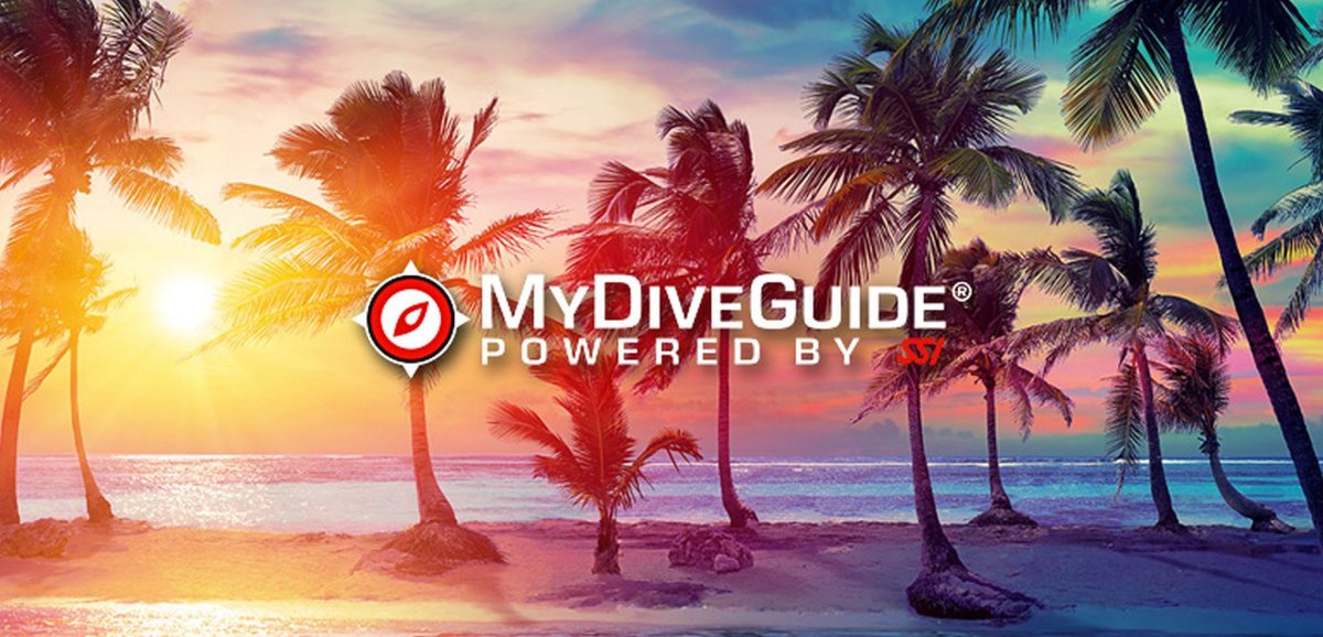 Are you ready to Travel? Explore dive sites around the world with SSI’s ...