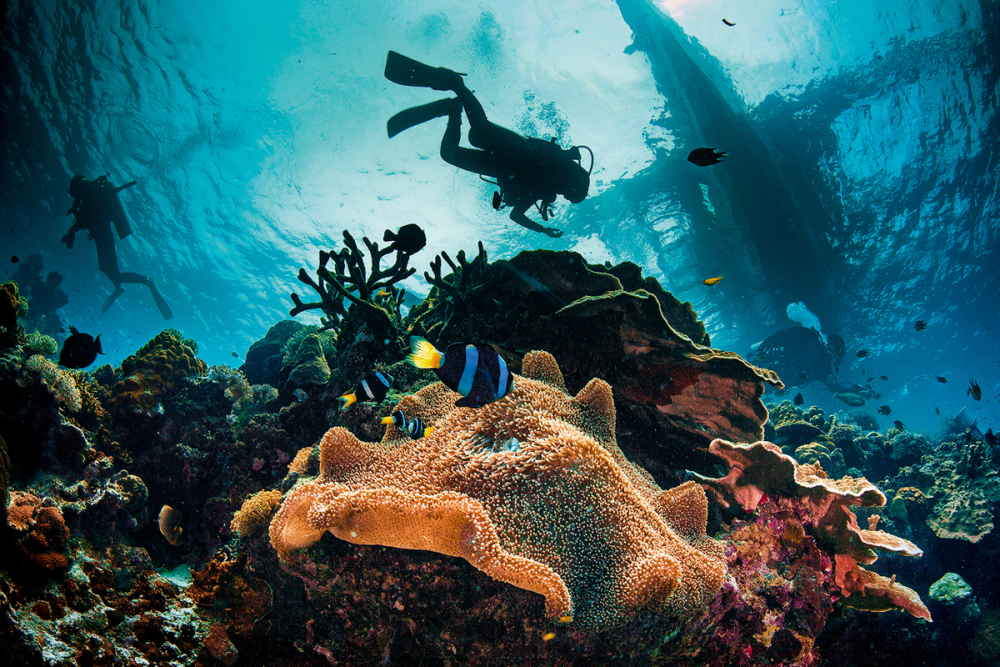 SSI Basic Diver program – Your diving adventures start here!