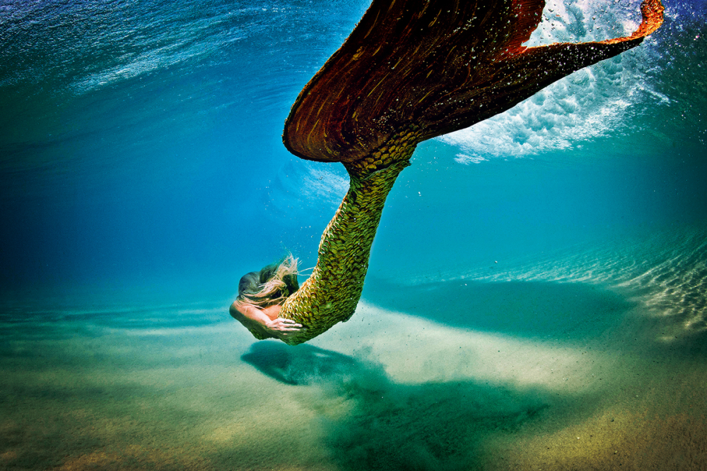 Certificação SSI Model Mermaid - Certifique-se agora com a SSI!