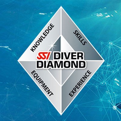 Unlock Rewards and Recognition with SSI Pro Rewards