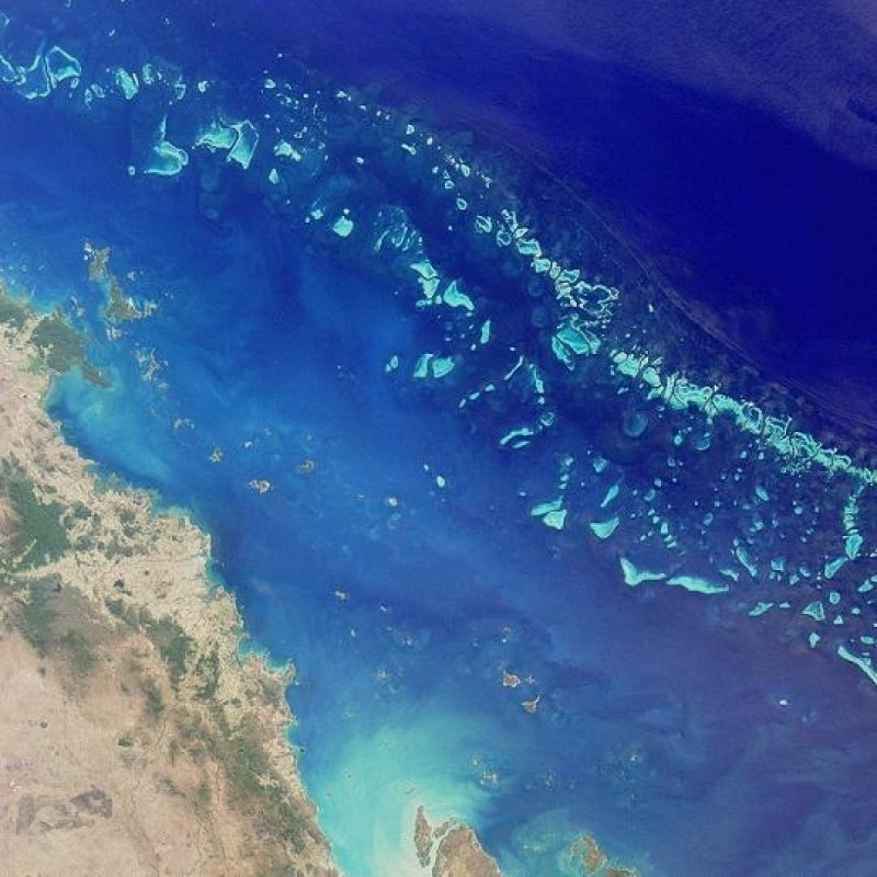 Bioherm structure at Great Barrier Reef three times larger than expected